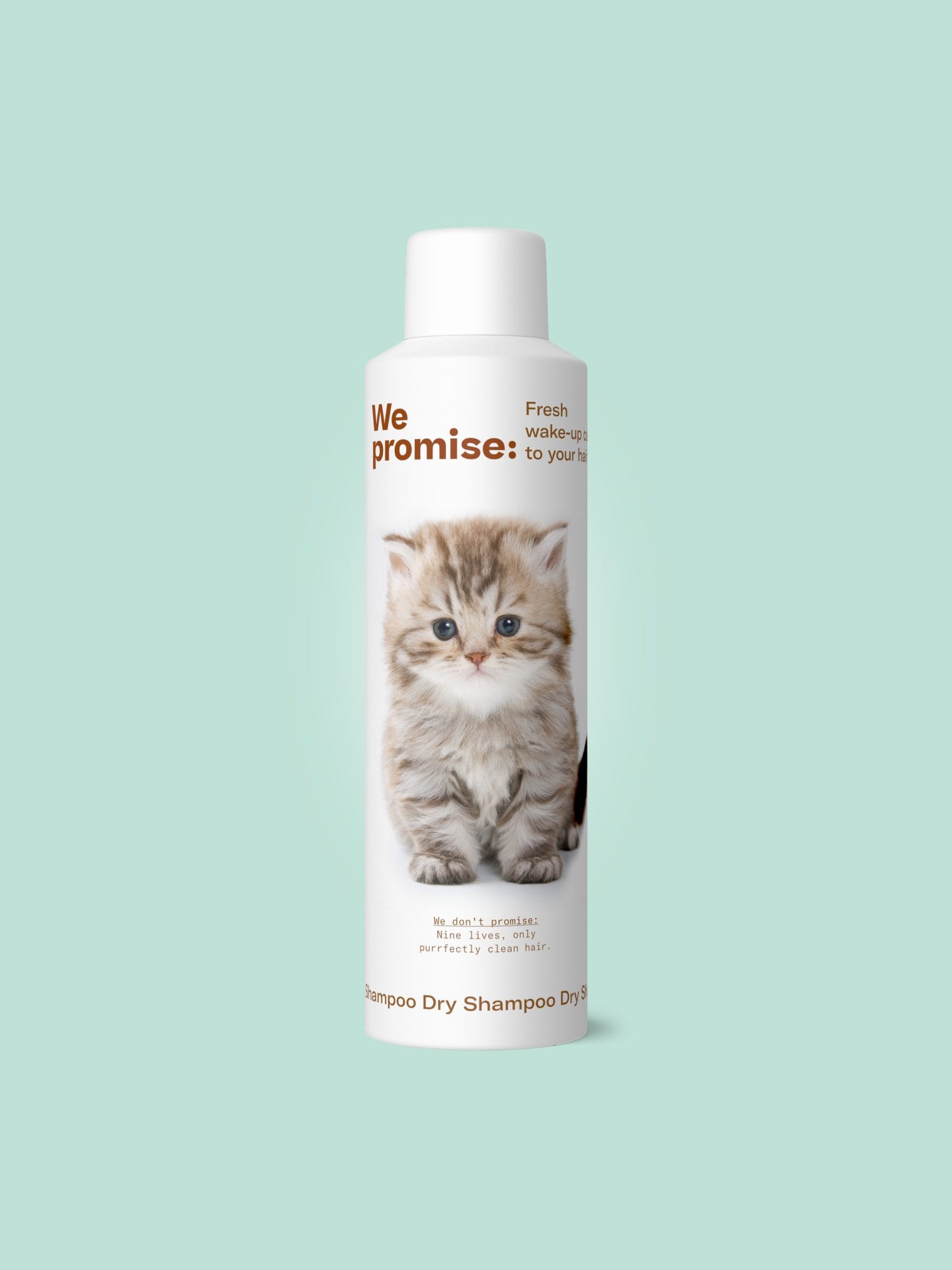Promise Dry Shampoo - by G. A.